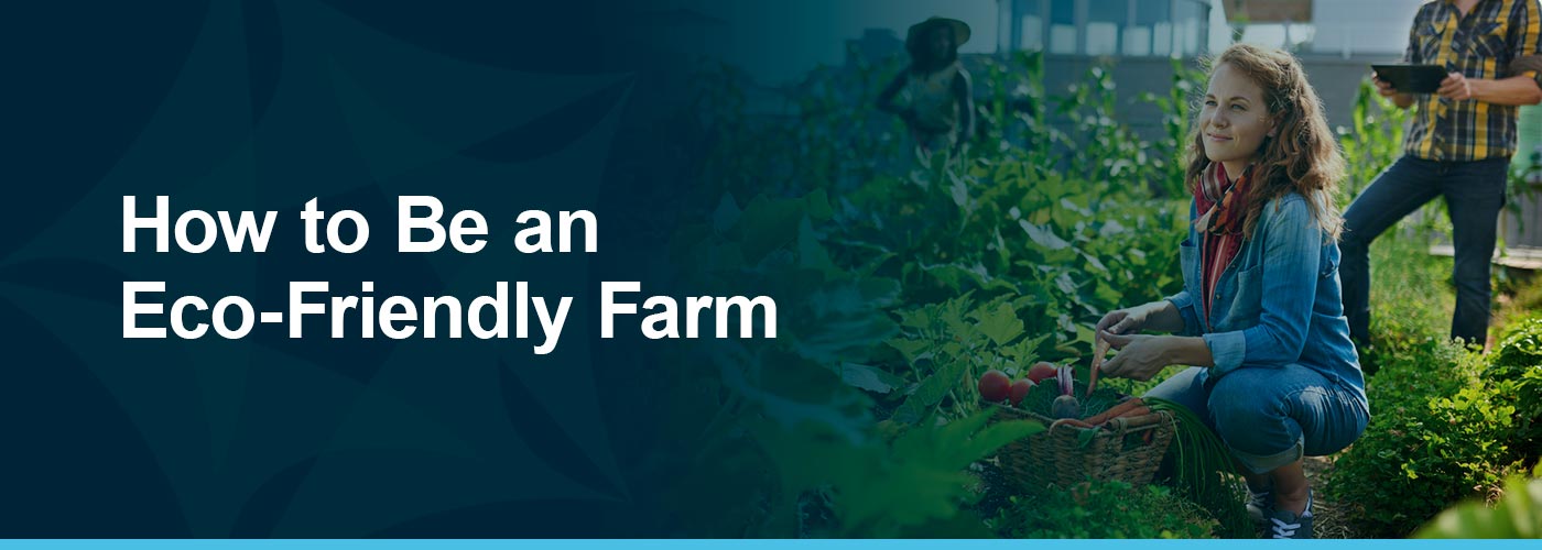 How To Be An Ecofriendly Farm | USA SHADE