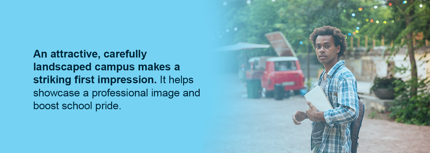 Tips for Improving College Landscape Design – USA Shade