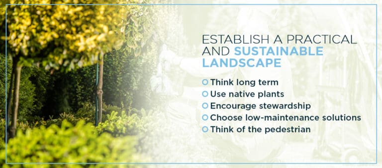 Guide to Urban Landscape Design | USA SHADE Resources