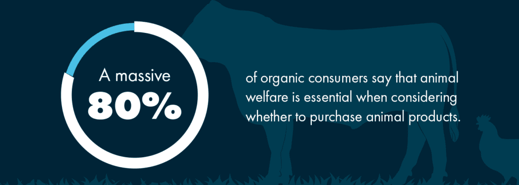 Meeting Animal Welfare Standards with Livestock Shade Structures